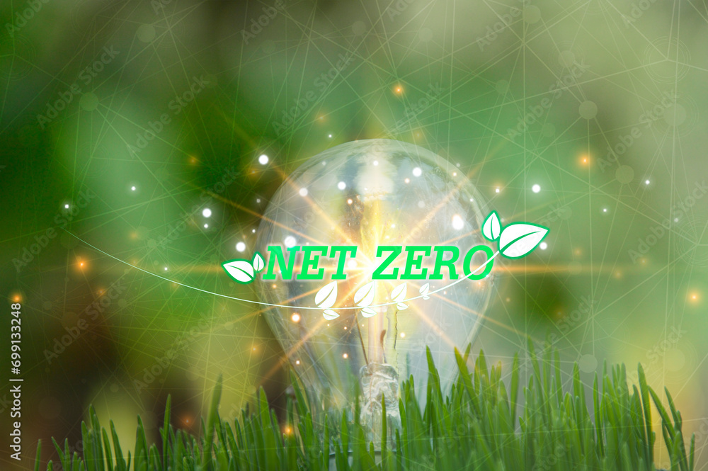 The concept of net zero carbon and carbon neutrality for the goal of ...