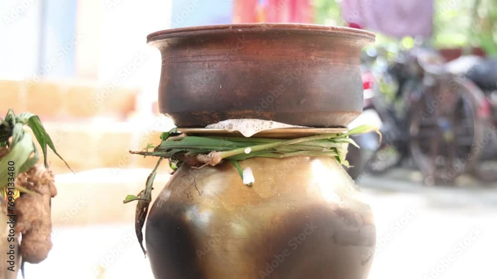 celebrating Traditional Thai Pongal festival to sun god with pot, lamp ...