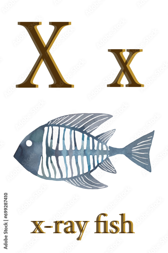 printable animal alphabet card vector graphic resources, letter X / x ...