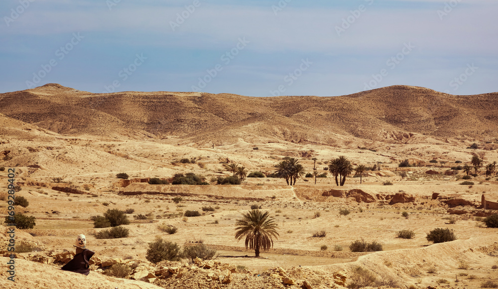 Nature background of scenery Sahara desert with sandy dunes vegetation ...