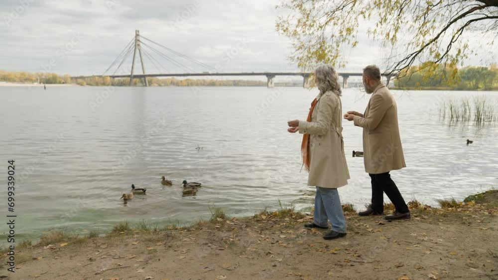 Senior couple woman man near lake throwing bread feeding ducks together ...
