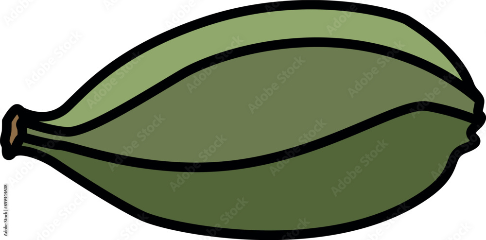 Cardamom pod with seeds, spices - vector full color picture. Cardamom ...