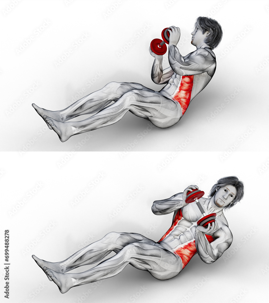 493 Obliques-Dumbbell Russian Twist. 3D Anatomy of fitness and ...