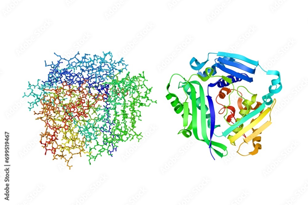 Human S-adenosyl methionine synthetase 1 in complex with SAM and PPNP ...