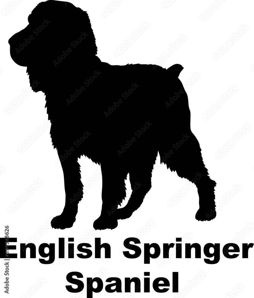 Dog English Springer Spaniel. silhouette Breeds Bundle Dogs on the move ...