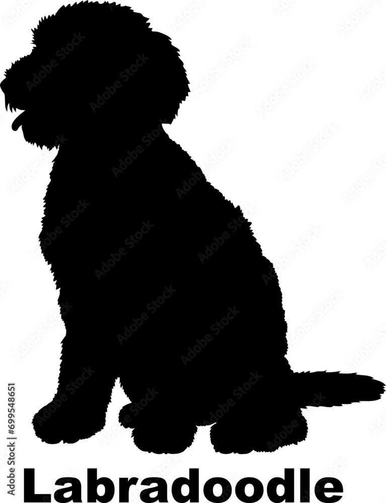 Dog Labradoodle silhouette Breeds Bundle Dogs on the move. Dogs in ...