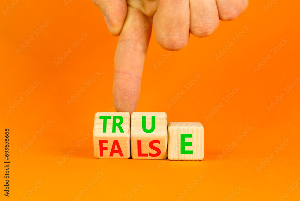 False or true symbol. Turned wooden cubes and changed the word false to ...