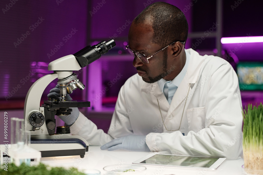 African american biologist placing herb under microscope magnification ...
