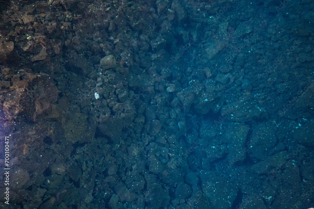 Blind white crabs in the inner pool of the cave of Los Jameos del Agua ...