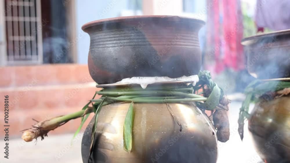 celebrating Traditional Thai Pongal festival to sun god with pot, lamp ...
