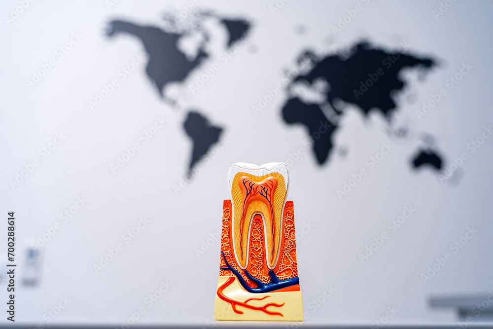 A Tooth Model with a World Map Background. A model of a tooth with a ...