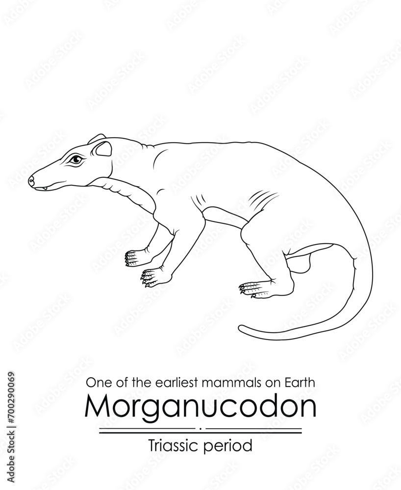 Morganucodon, one of the earliest mammals on Earth and the ancestor of ...