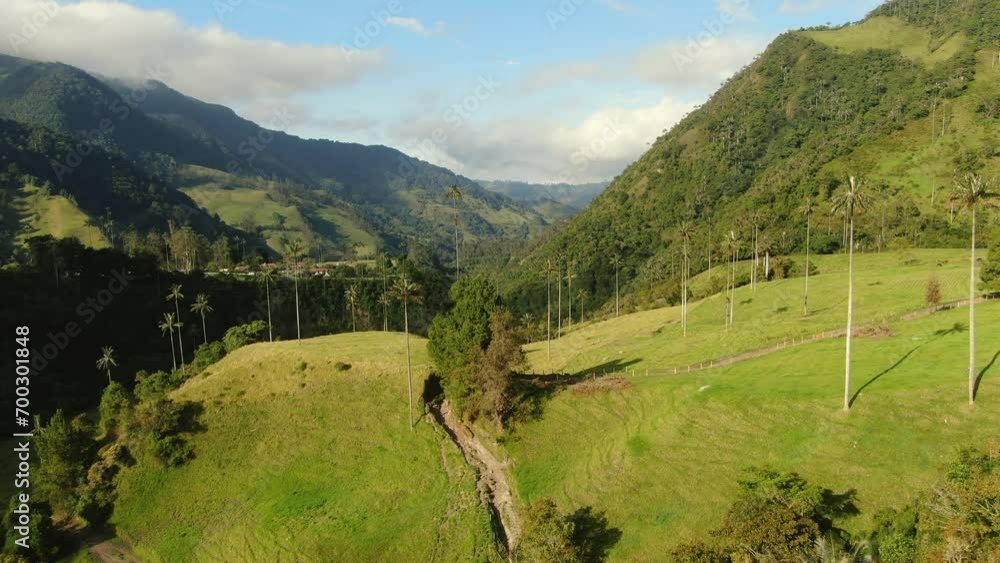 Aerial view of Colombian famous place in Andes mountains Cocora valley ...