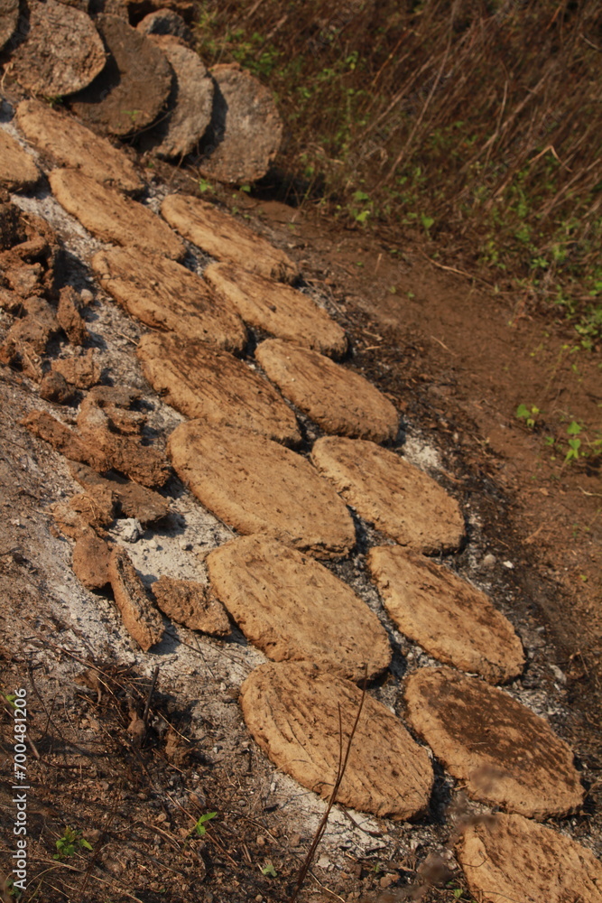 Collection of dried Cow and buffalo dung pets used for sustaining fires ...