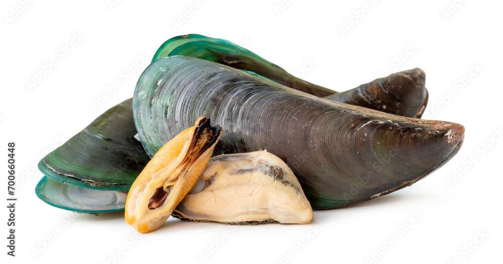 Steamed or cooked food of fresh beautiful green mussels in stack ...