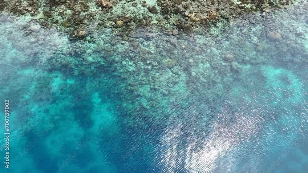 A beautiful coral reef surrounds a limestone island in Misool, Raja ...