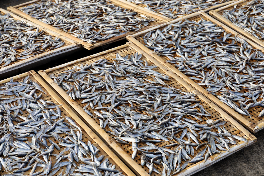 the process of drying salted fish in bamboo trays under the sun ...