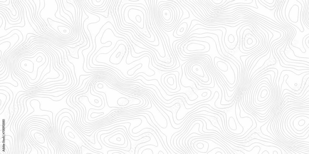 The Pattern Black On White Contours Map Grid Wave Vector Topography 3000