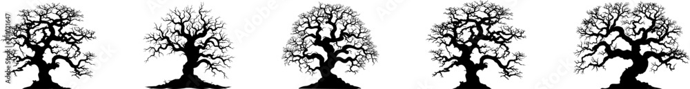 Silhouette tree line drawing set, Side view, graphic tree elements set ...