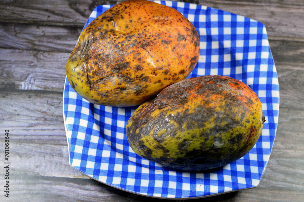 Mango fruit with mold, mould is one of the structures that certain ...