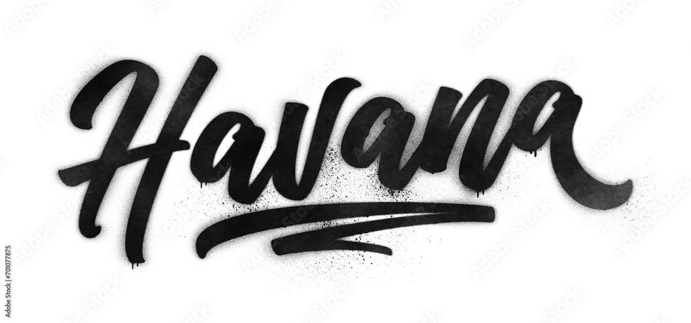 Havana city name written in graffiti-style brush script lettering with ...