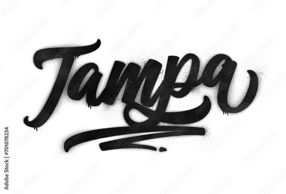 Tampa city name written in graffiti-style brush script lettering with ...