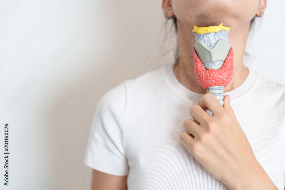 Woman holding human Thyroid anatomy model with her Neck ...