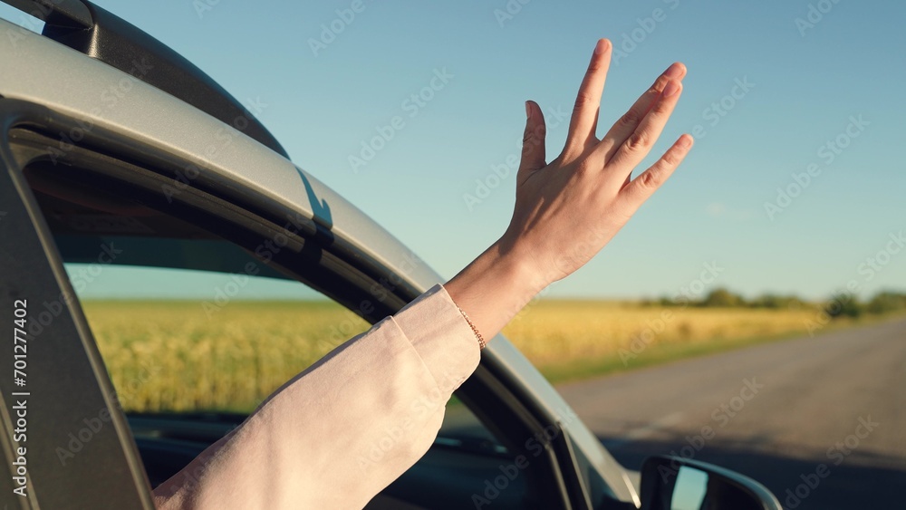 girl rides car with her hand out window, traveling with friends sunny ...