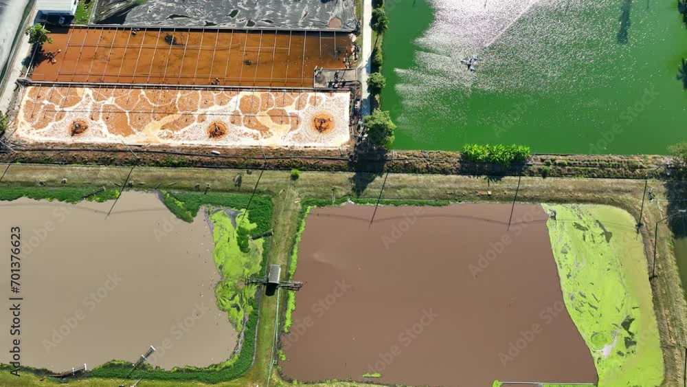 An industrial wastewater treatment pond purifies contaminated water by ...