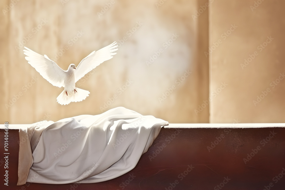 Resurrection Of Jesus Christ Concept. White Bird, Shroud And ...