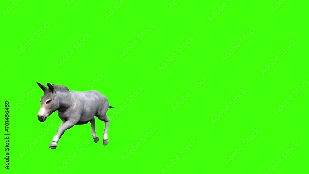 3D Donkey Animal fast running entering and outing with cycle view ...