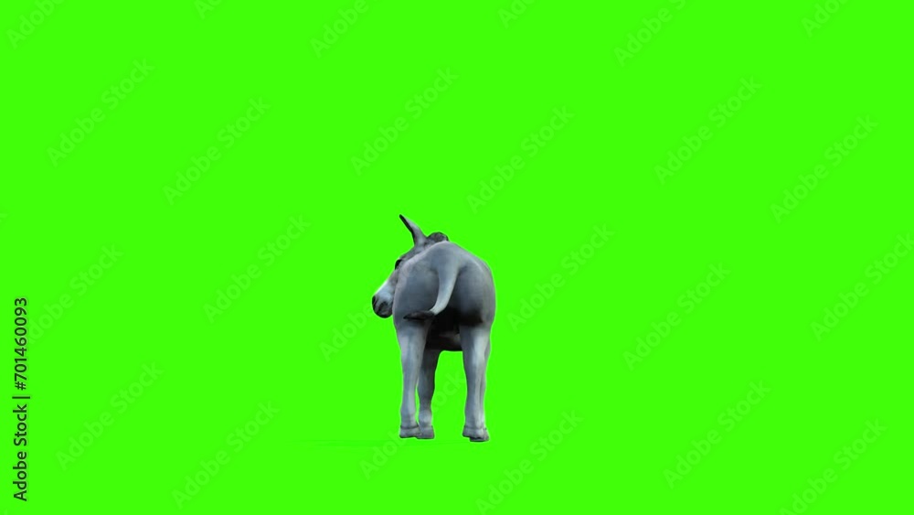 3D Donkey Animal angry mood with back view animation on chroma key ...