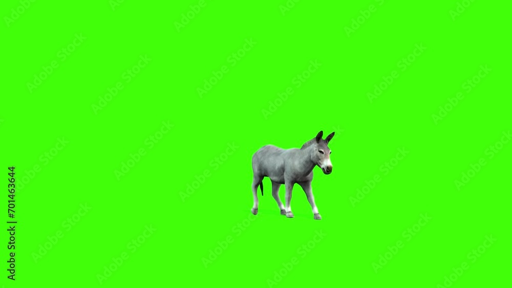 3D Donkey Animal walking entering and outing with cycle view animation ...