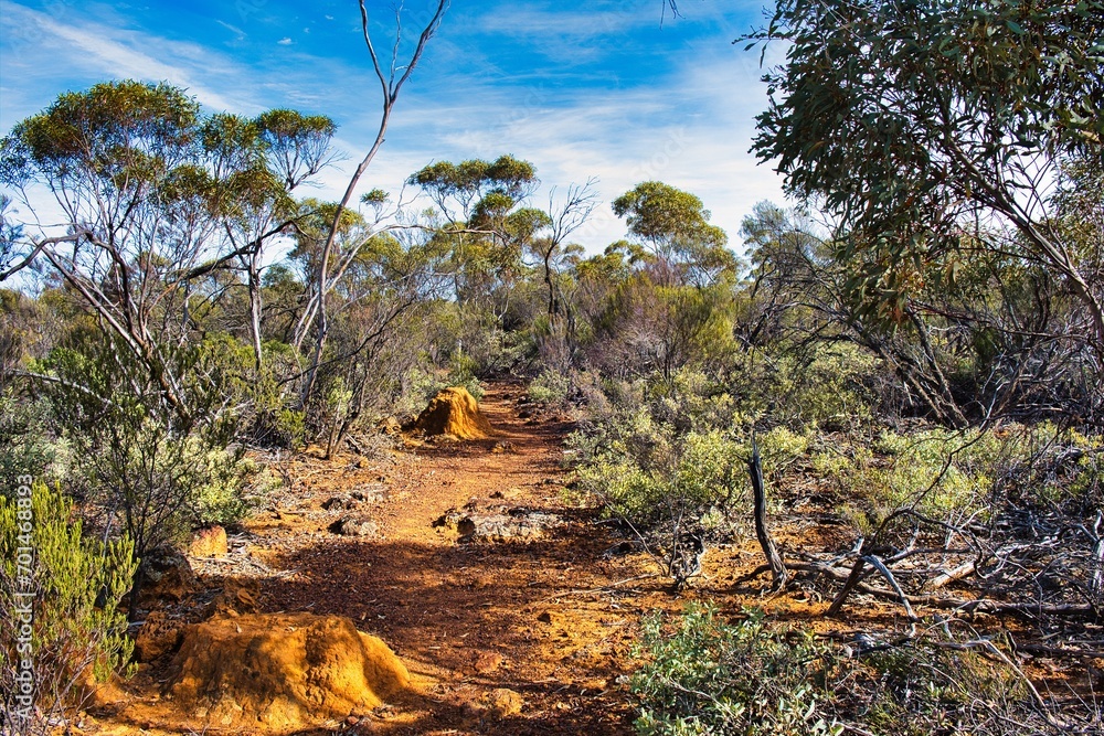 The Mt. Matilda Trail in Wongan Hills Nature Reserve, in the Wheatbelt ...