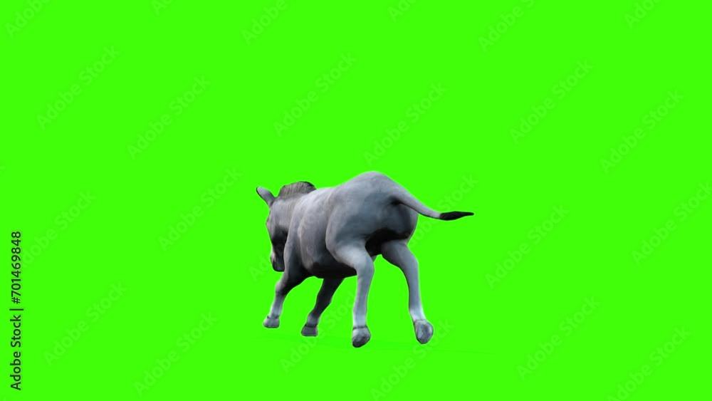 3D Donkey Animal fast running with back view animation on chroma key ...