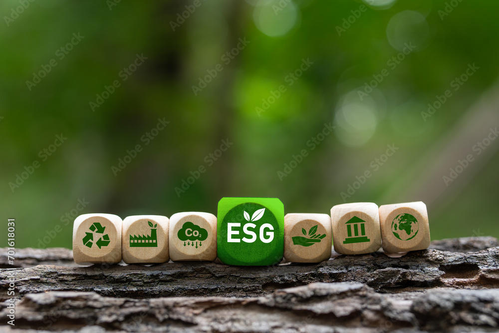 Concepts of ESG, environment, society and governance Sustainable ...