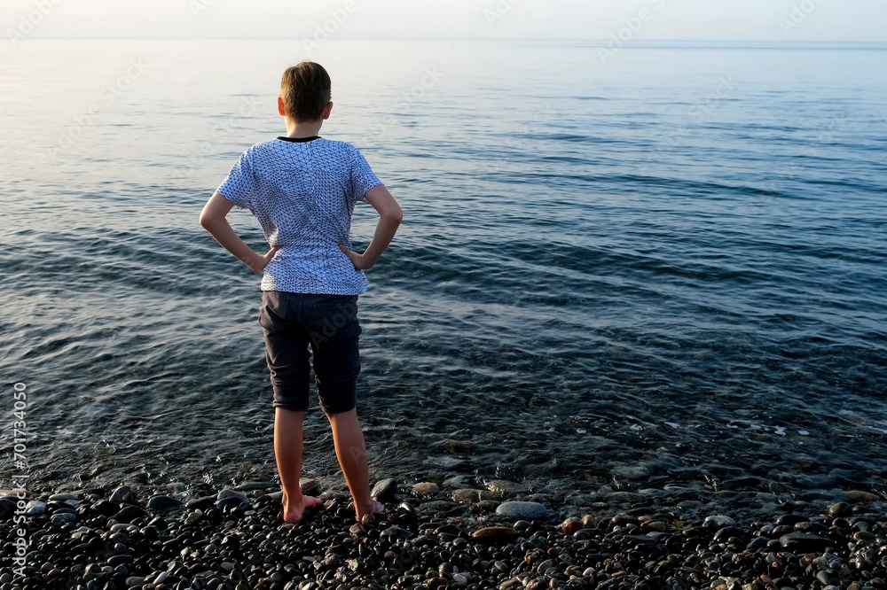 Teen boy standing in sea on pebble beach looking at transparent clear ...