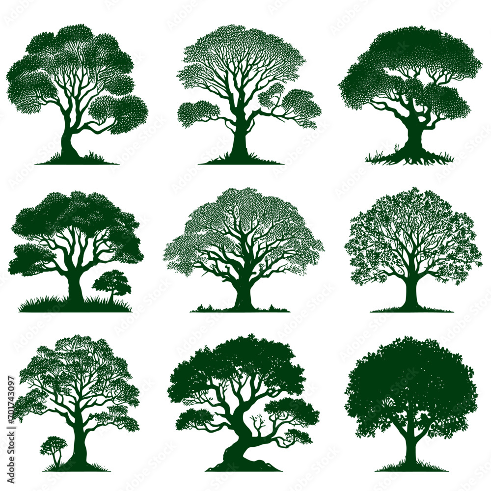 Silhouette tree drawing set, Side view, sketch set of graphics trees ...