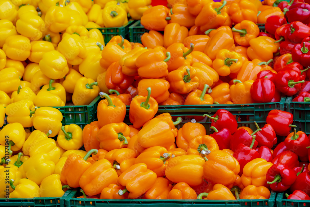 Selective focus of multi colour of paprika on market stall, Capsicum ...
