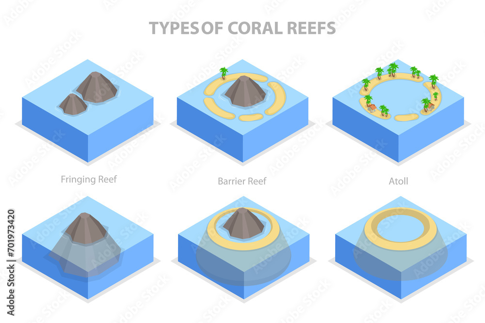 3D Isometric Flat Illustration of Types Of Coral Reefs, Structure of ...