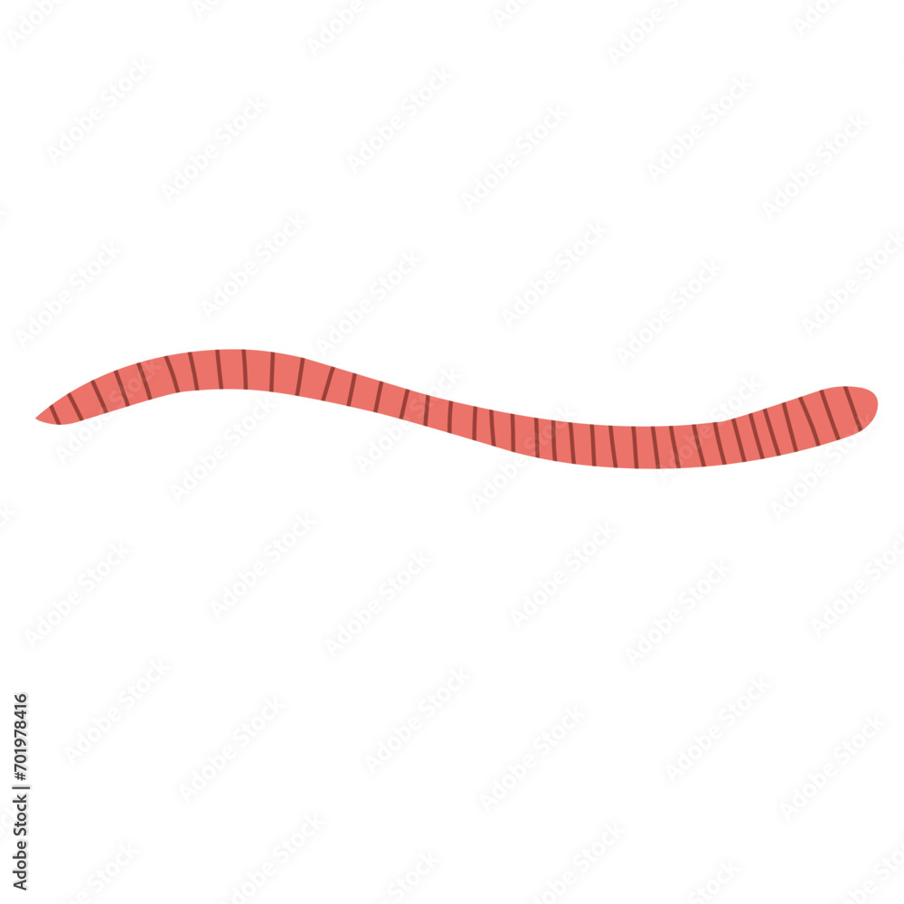 pinworm vector element Stock Vector | Adobe Stock