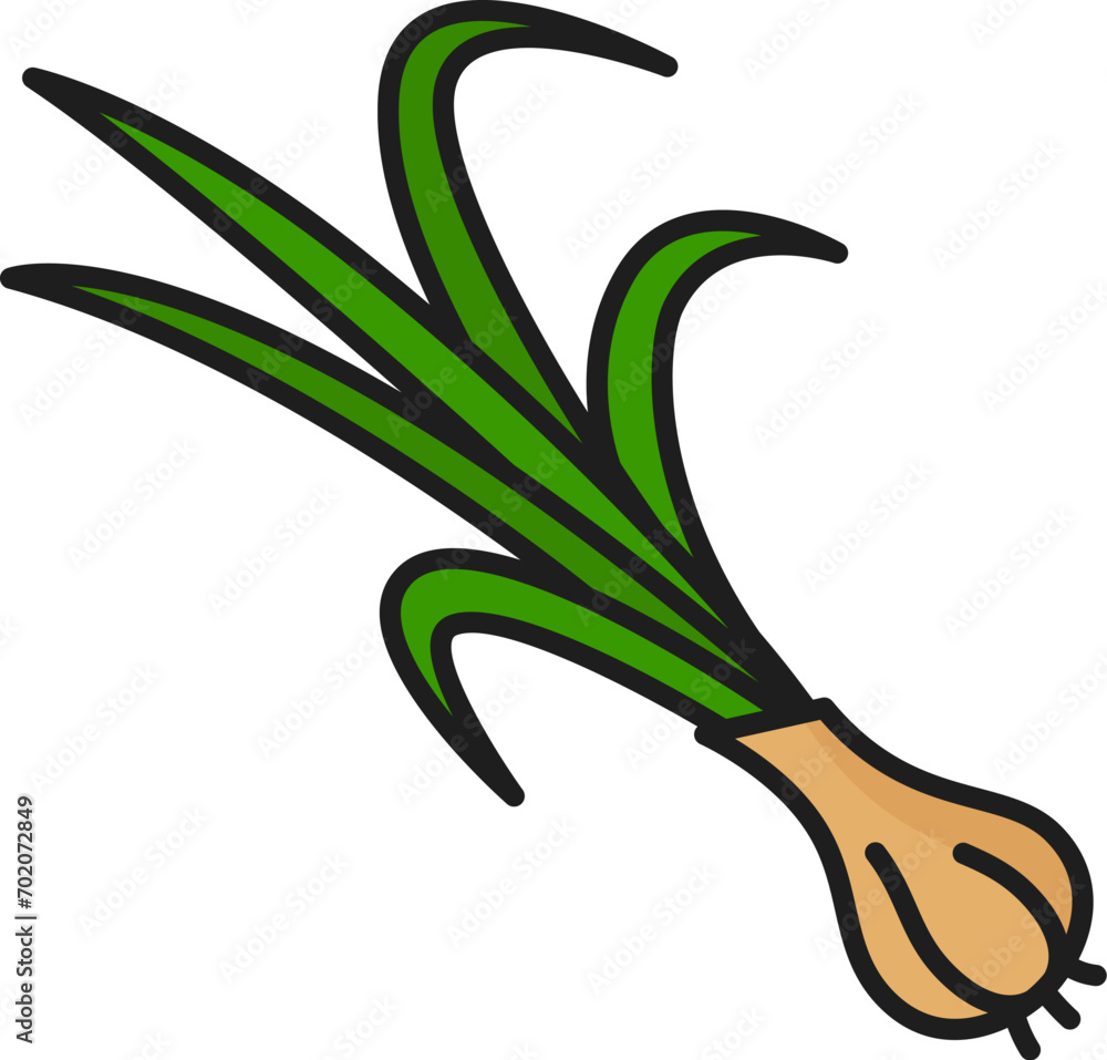 Onion root vegetable with leaves, color outline icon. Vector grocery ...