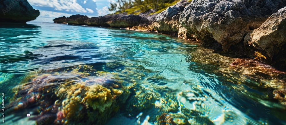 Coral reefs off the coast of Bermuda clear water of the Atlantic and ...