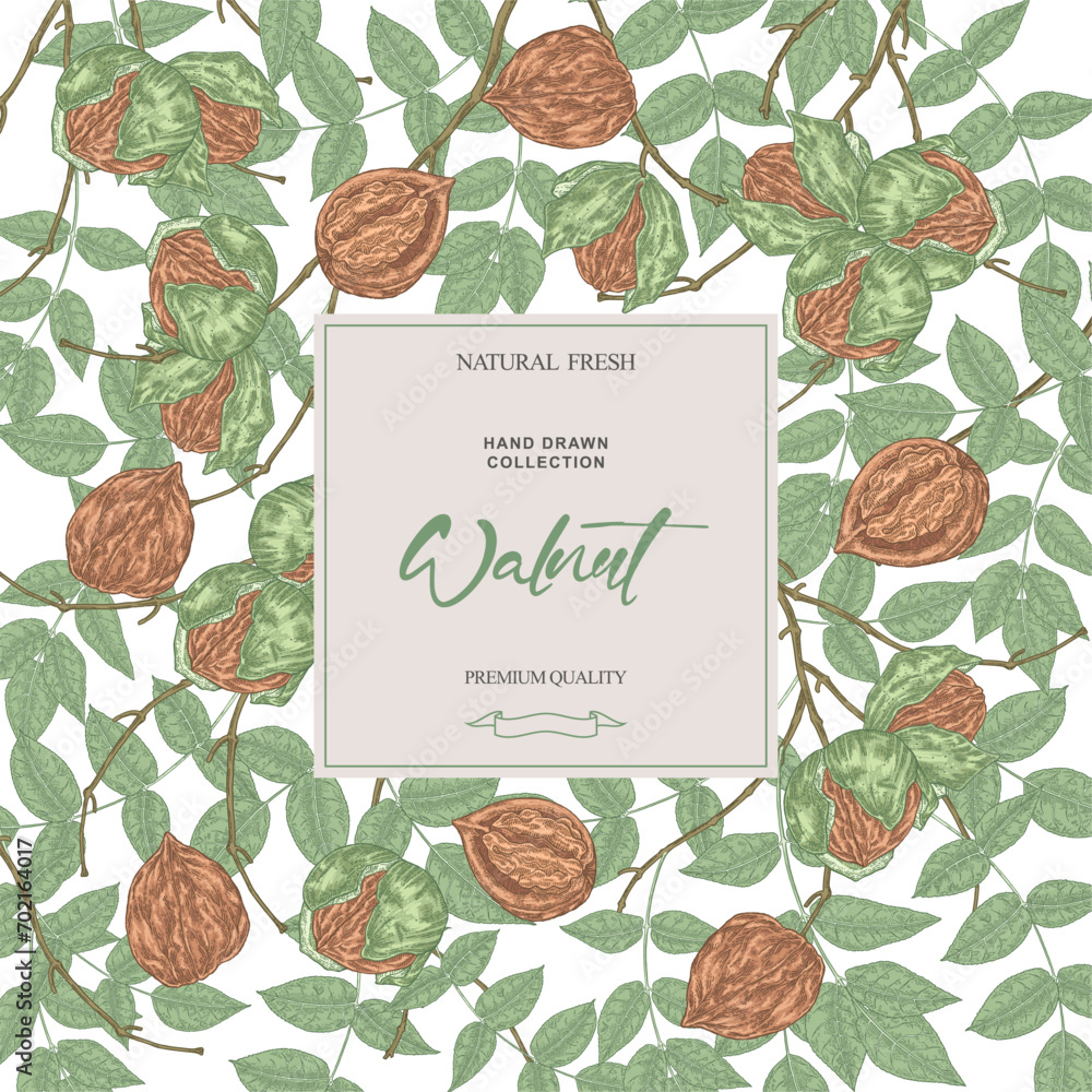 Poster Square label with Walnut tree – Wall Art | UkPosters