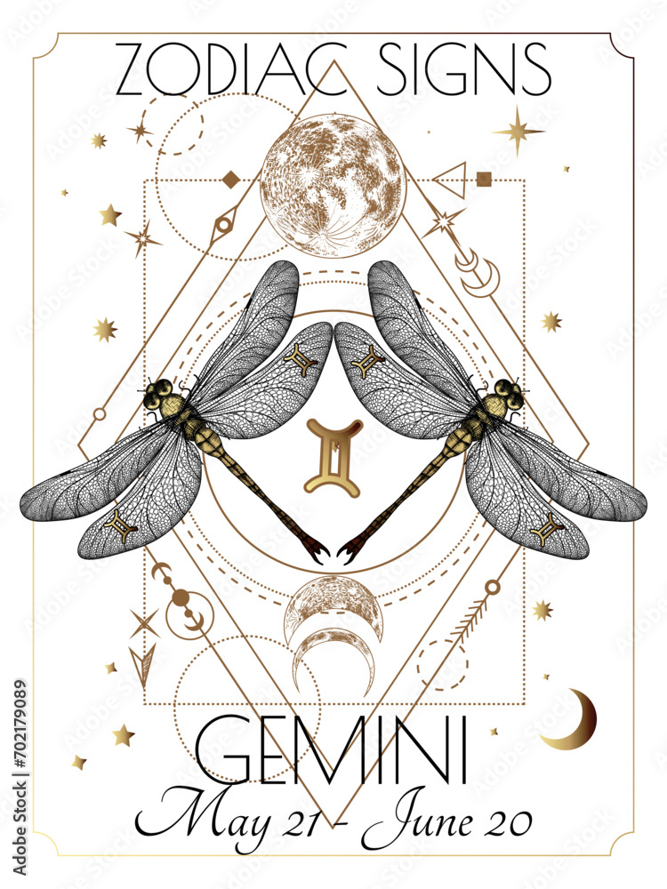 Vector illustration of zodiac signs. Gemini dragonflies in white and ...