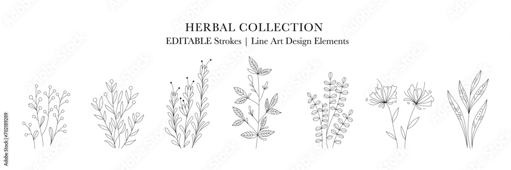 Herbal Collection. Editable line art monochrome Design. Set of linear floral designs, medicine ...