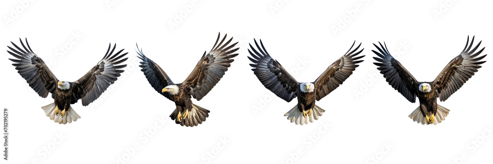 A set of single American Eagle is flying isolated on a transparent ...
