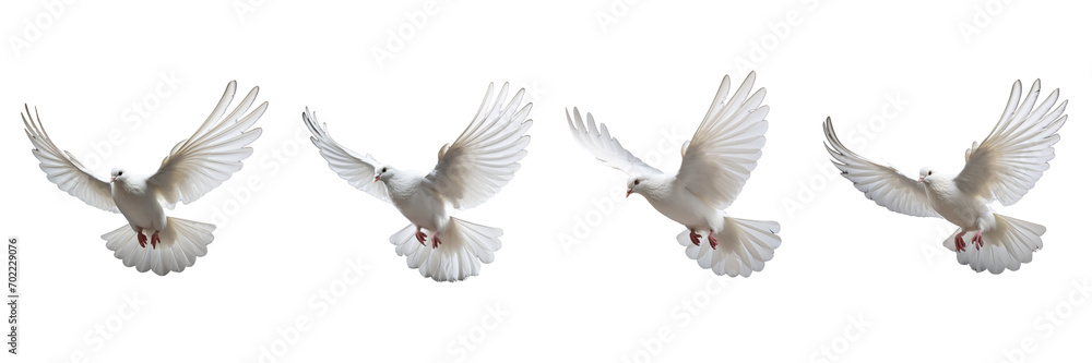 A set of single white color doves flying on a transparent background in ...