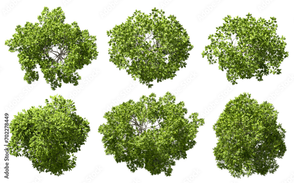 Topview outside greenery trees landscape cut out transparent ...