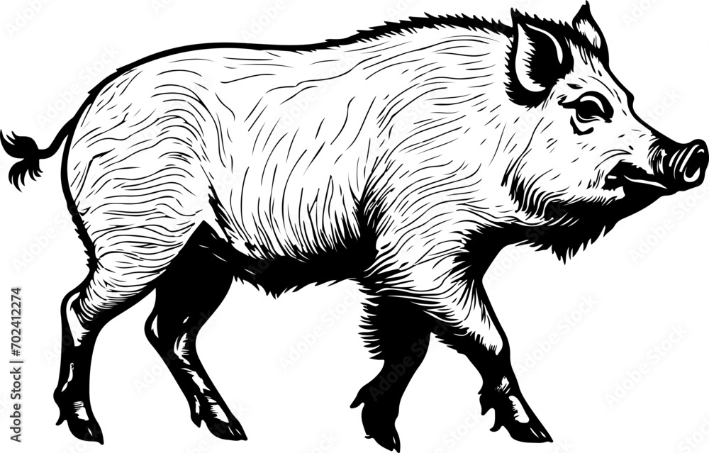 Boar SVG bundle, wild boar SVG, wild boar PNG, wild boar cricut, zoo ...